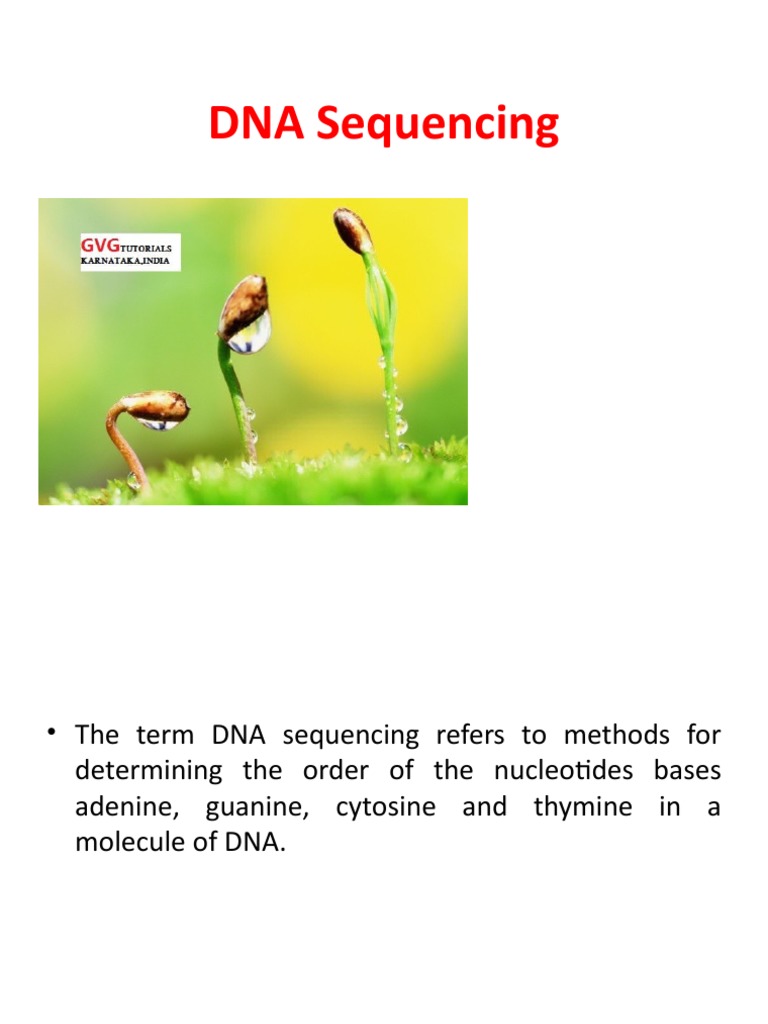 DNA Sequencing | PDF | Sequencing | Dna Sequencing