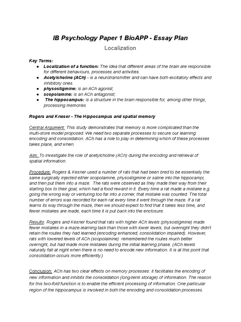 IB Psychology: Brain Function & Memory | PDF | Hippocampus | Memory