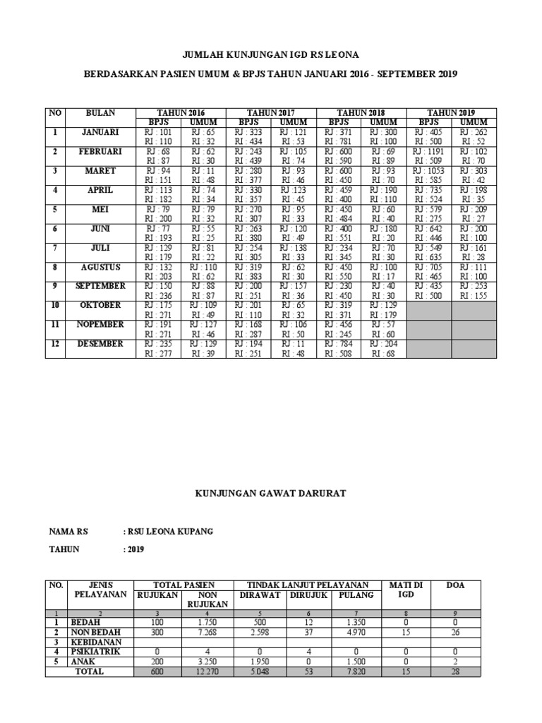 Jumlah Kunjungan Igd Rs Leona | PDF