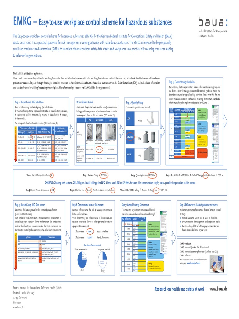 EMKG - BAuA | PDF | Occupational Safety And Health | Dangerous Goods