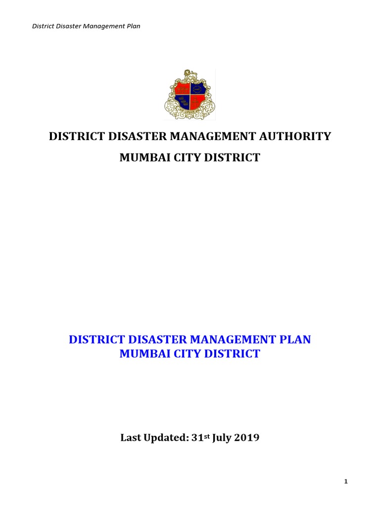 Disaster Management Plan - City | PDF | Emergency Management | Disaster ...