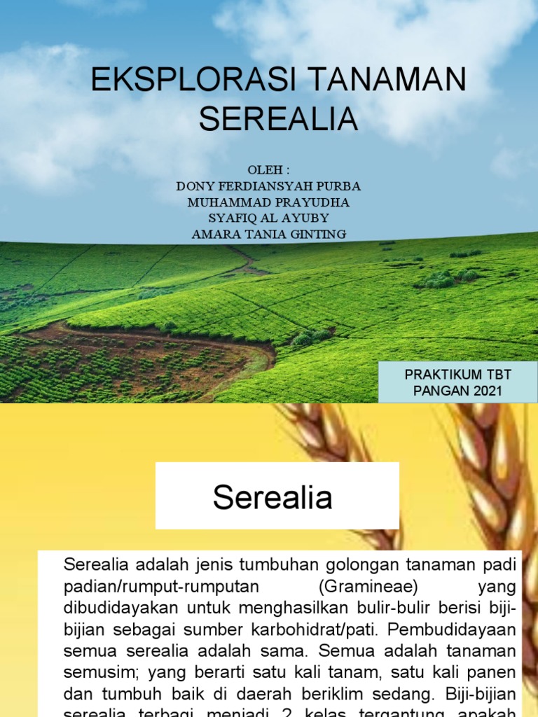 Serealia | PDF