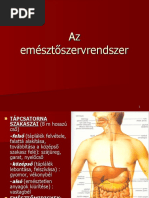 Az Emberi Test Felépítése Anatómia Ápolás | PDF