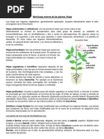 Estructura y Tipos de Limbo en Hojas | PDF | Hoja | Botánica