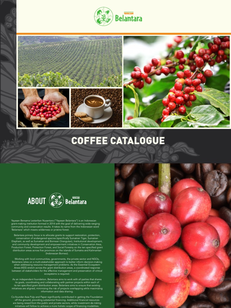 Coffee - Catalogue (Med-Res) | PDF | Coffee | Agriculture