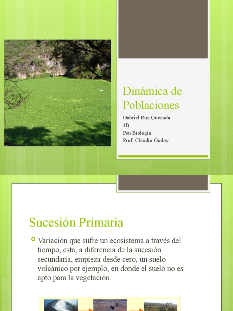 Dinamica de Poblaciones Gabriel Ruz 4B | PDF | Suelo | Deforestación