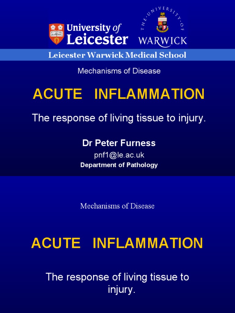 Acute Inflammation: The Response of Living Tissue To Injury | PDF ...