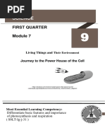 Science - G9 - Week 7 (Lessons 19-20) | PDF | Cellular Respiration ...