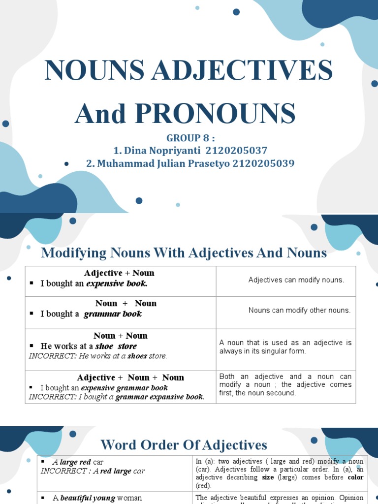 Pronouns, Adjectives, & Nouns | PDF | Grammatical Number | Noun