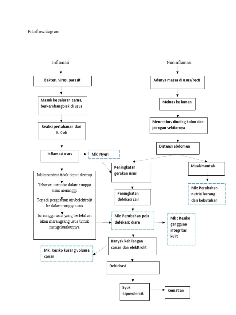 Pathway Gastroenteritis Baruu | PDF