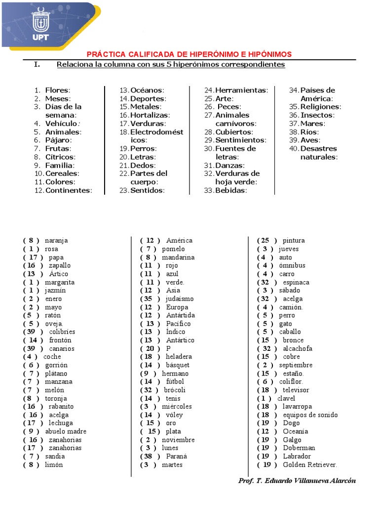 1ra Unidad Aula Virtual Rv. Hiperonimia, Hiponimia, Holonimia y ...