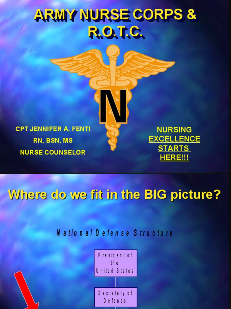 Army Nursing Overview Brief Dec 05 | PDF | Nursing | Hospital