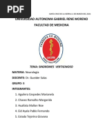 Protocolo Hints | PDF | Neuroimagen | Vértigo