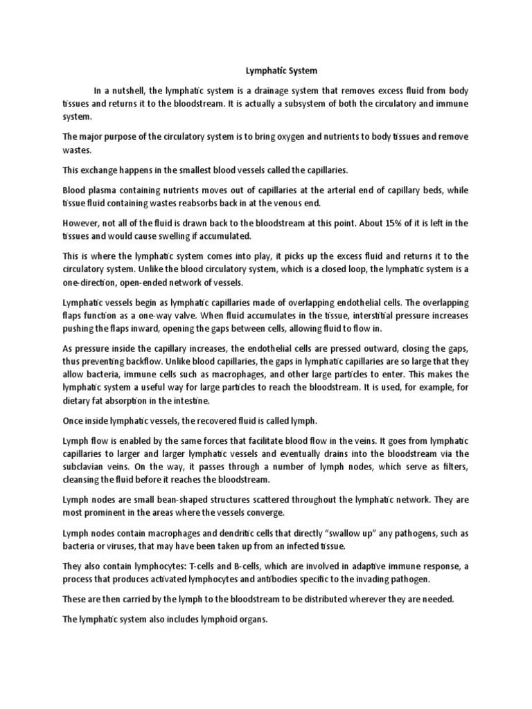Lymphatic System Summary | PDF | Lymphatic System | Lymphocyte
