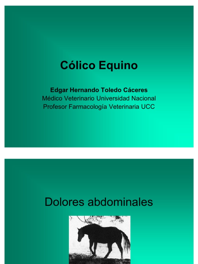 Colico Equino en Red | PDF | Intestino grueso | Sistema digestivo humano