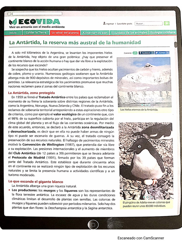 Texto Explicativo | PDF