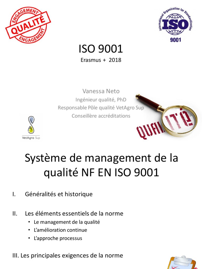Iso 9001 V2015 | PDF
