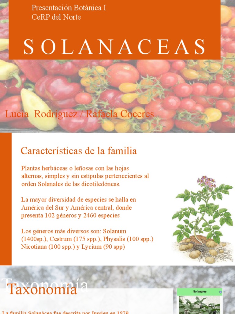 Botánica I Solanacea | PDF | Flores | Reproducción de plantas