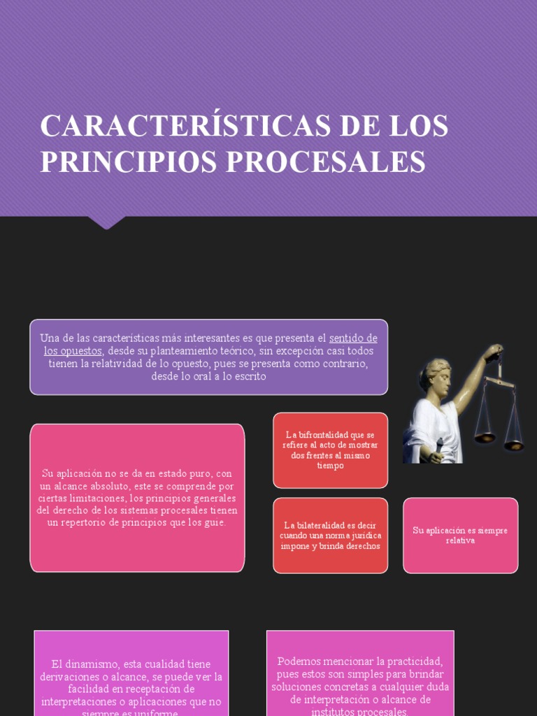 Características de Los Principios Procesales | PDF | Ley procesal | Juez