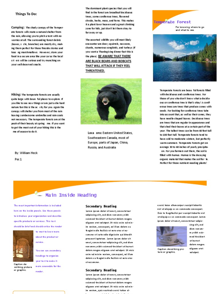 Brochure | Download Free PDF | Trees | Forests