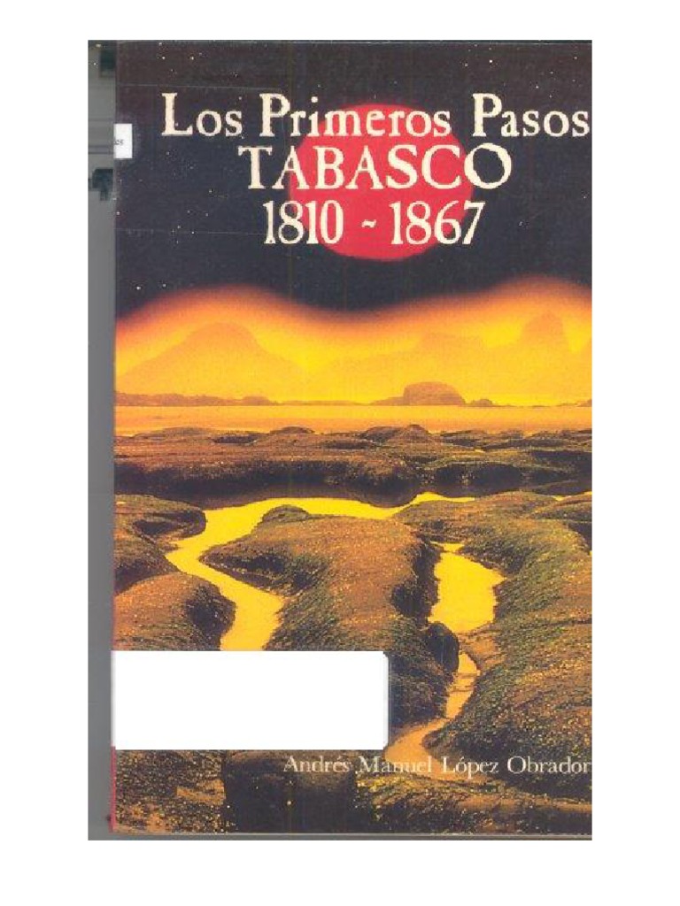 Primeros Pasos | PDF