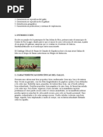 Prueba Pip | PDF | Cognición | Sicología