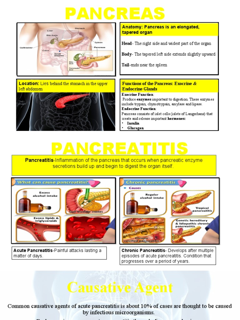 PancreATITIS OCT. 21, 2021 | PDF | Gallbladder | Pancreas