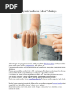 Leaflet Penggunaan Insulin | PDF