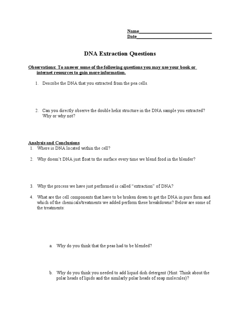 Lab - 5 and - 6 DNA Extraction Answer Sheet | PDF