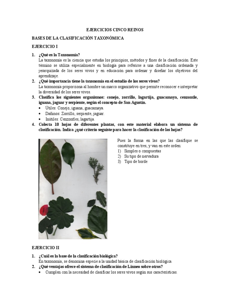 Ejercicios Cinco Reinos - Erèndira Reyes - 1IM2 | PDF | Hongo | Las ...