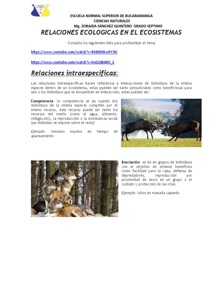 Guia Relaciones Ecologicas Inter e Intra Grado Septimo | PDF ...