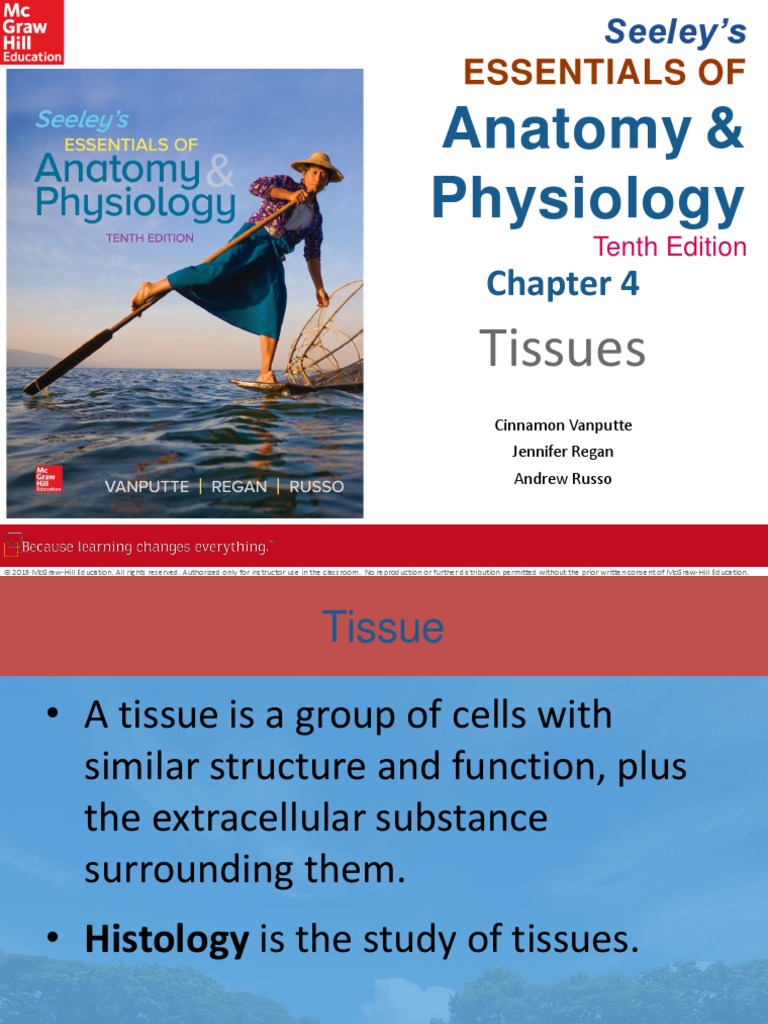 Module 3. Tissue | PDF | Epithelium | Connective Tissue