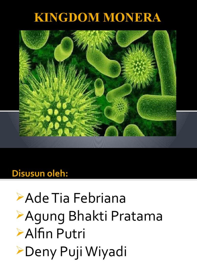 Kingdom Monera | PDF