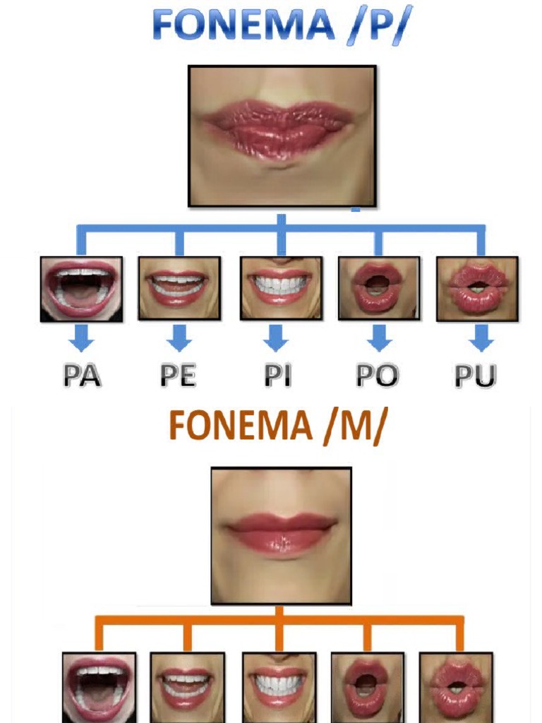 Articulación Fonemas | PDF