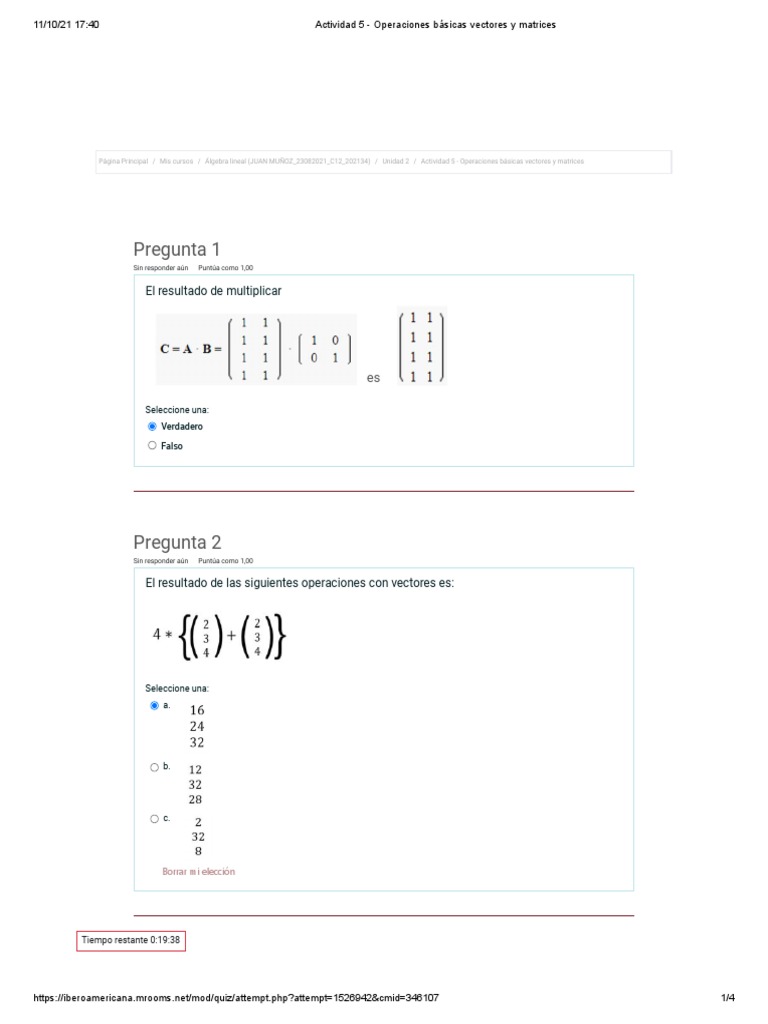 Actividad 5 - Operaciones Básicas Vectores y Matrices | PDF | Matriz (Matemáticas) | Álgebra lineal
