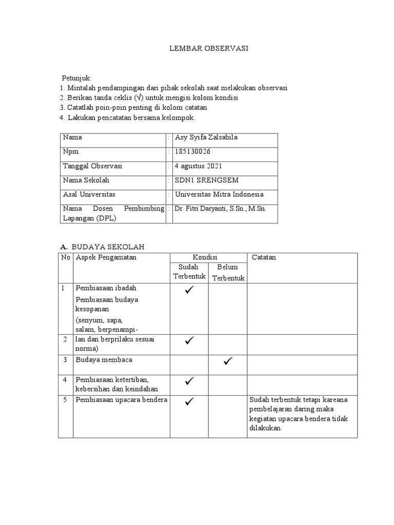 Lembar Observasi Dan Program Kerja Asy Syifa | PDF