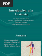 Marcas Óseas o Detalles y Formaciones Óseas | PDF | Viajes y turismo ...