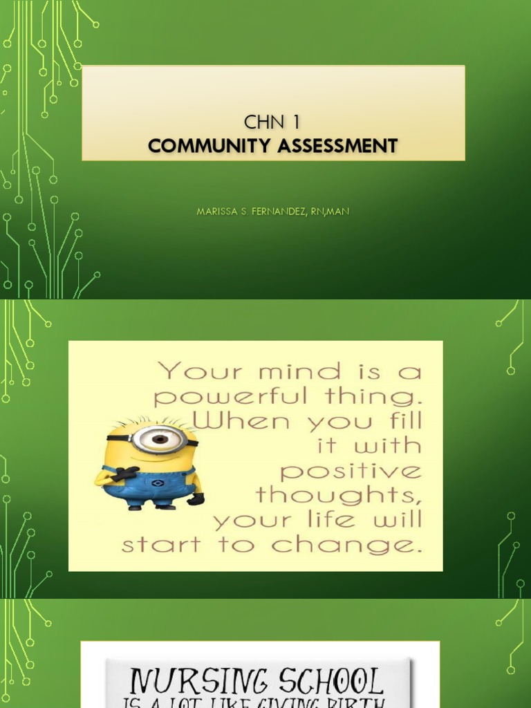 CHN 1 - Community Assessment | PDF | Educational Assessment | Mortality ...