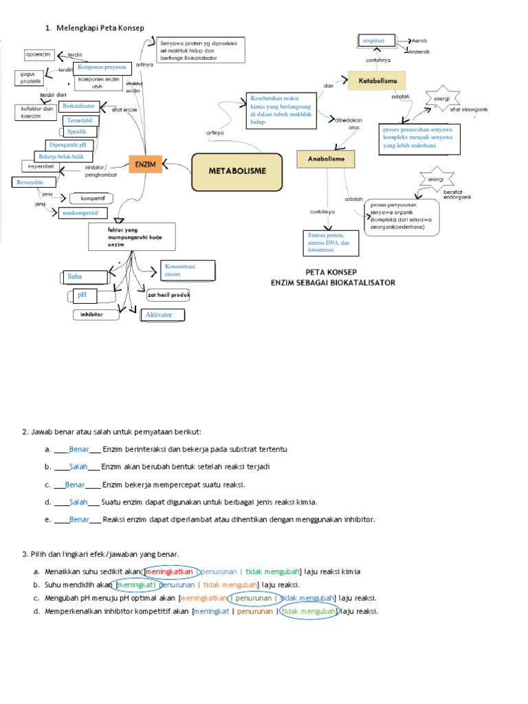 Peta Konsep ENZIM | PDF