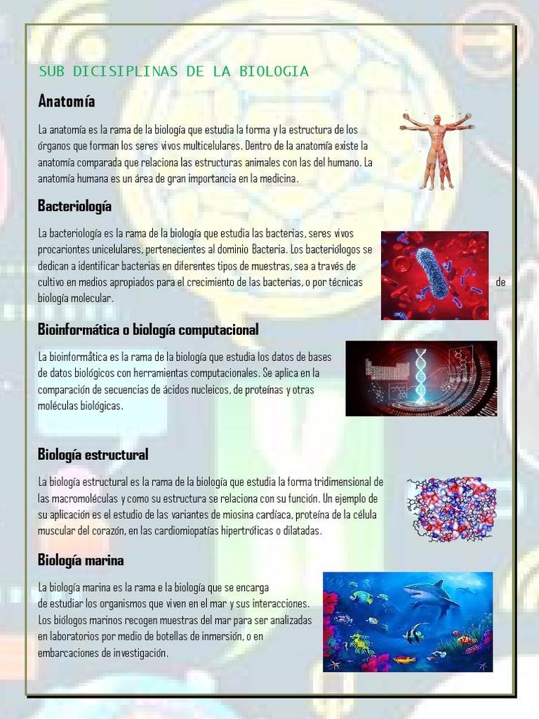 Subdisciplinas de la Biología | PDF | Biología | Biología Celular