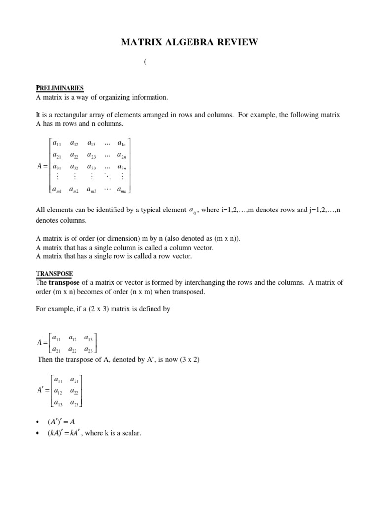 Matrix Algebra Review | PDF | Matrix (Mathematics) | Determinant