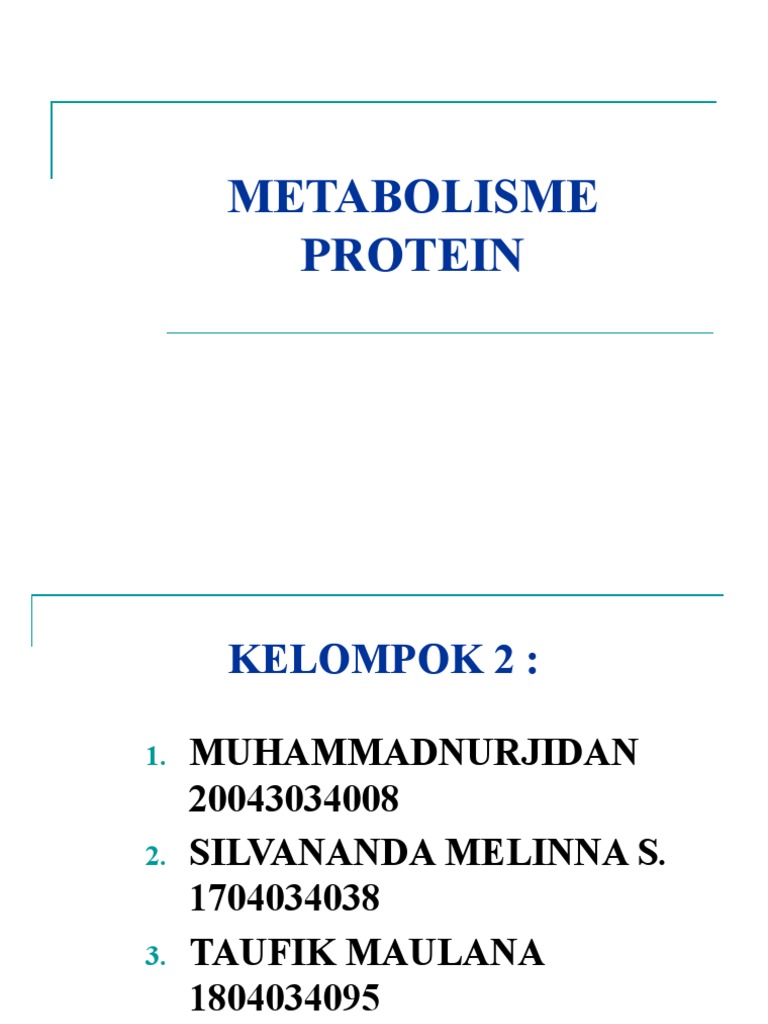 Metabolisme Protein | PDF