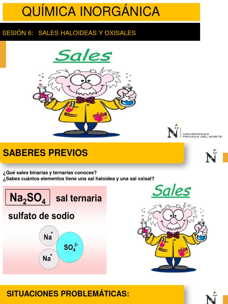 s6 - Sales Haloideas y Oxisales | PDF | Sal (química) | Ion