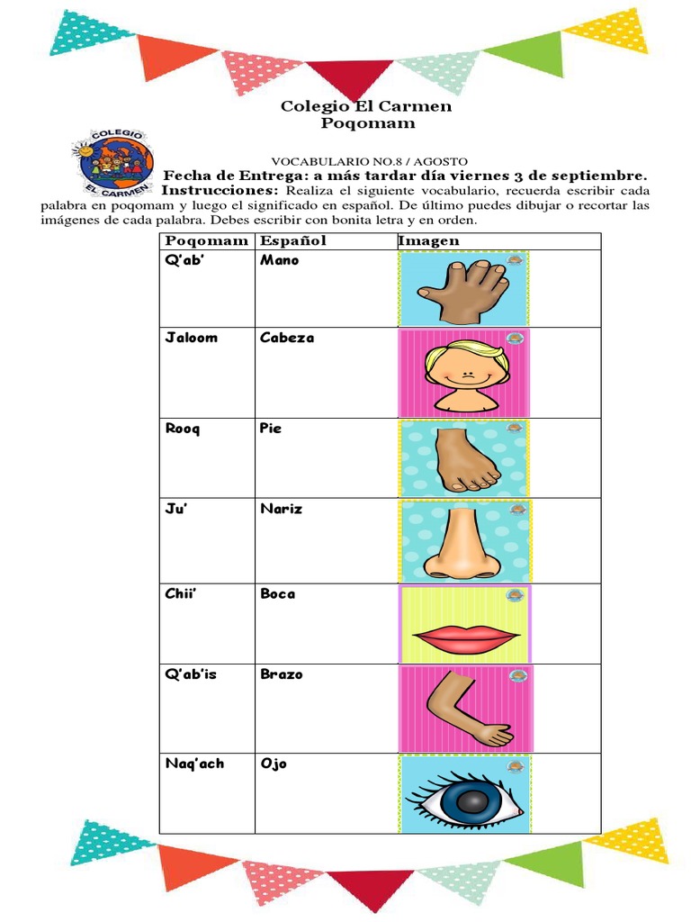 8º Vocabulario 2021 | PDF