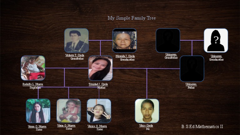 My Simple Family Tree: B.S.Ed Mathematics II | PDF