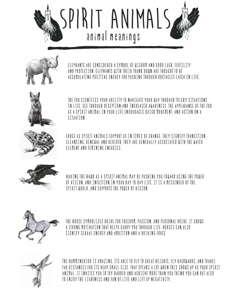 Spirit Animals and Their Meanings | PDF | Self-Improvement