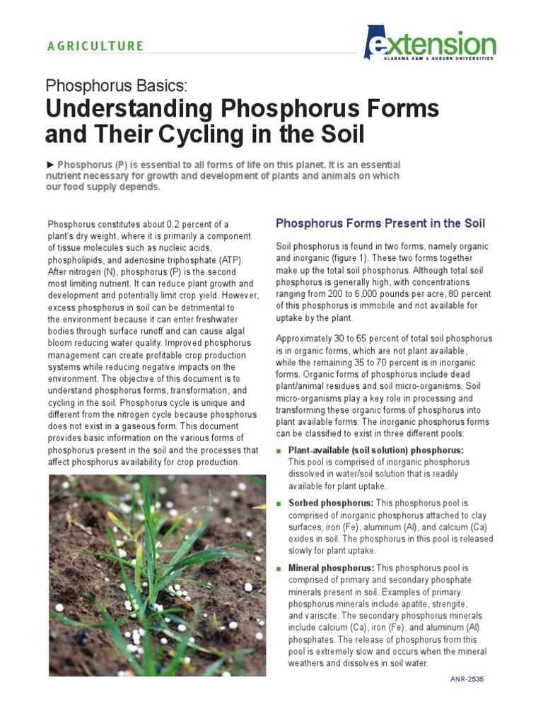 Understanding Phosphorus Forms and Their Cycling in The Soil | PDF ...