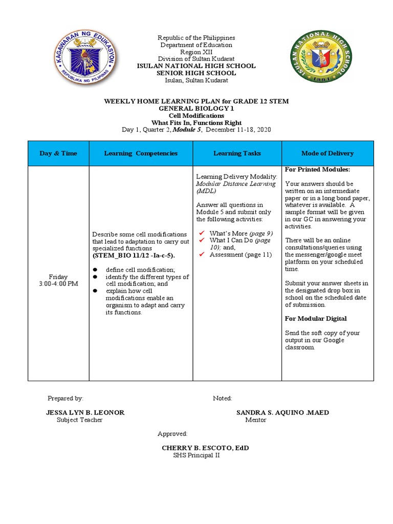 Modular Distance Learning (MDL) | PDF | Redox | Distance Education