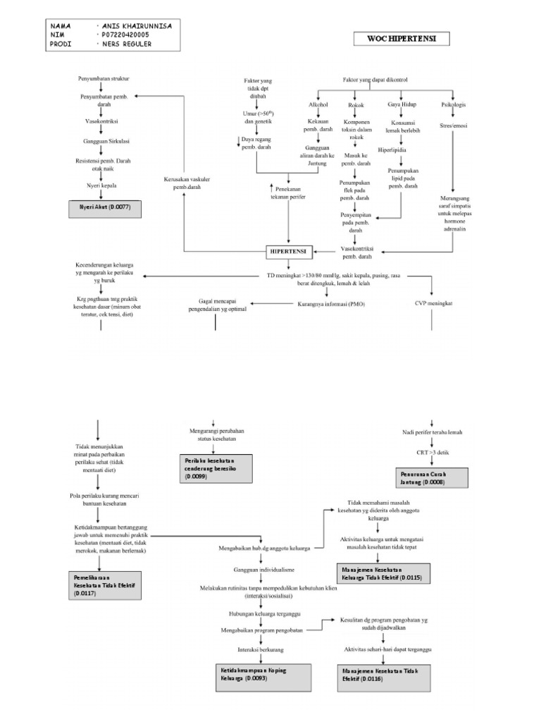 Woc Hipertensi Gerontik | PDF