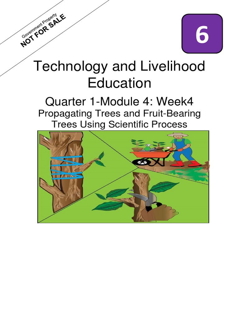 TLE Quarter 1 Module 4 PDF | PDF | Grafting | Plants